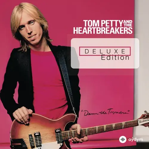 Tom Petty and the Heartbreakers - Don't Do Me Like That - Live At ...